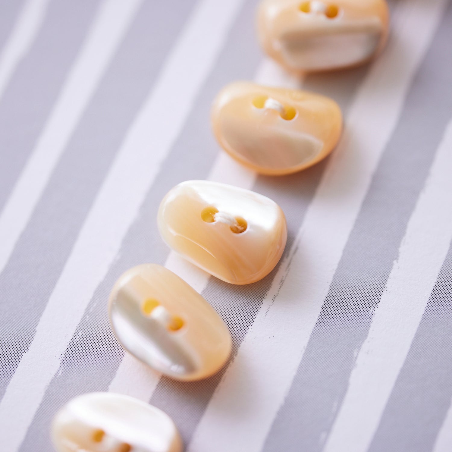 4nov Shell Buttons | Kokka Fabrics